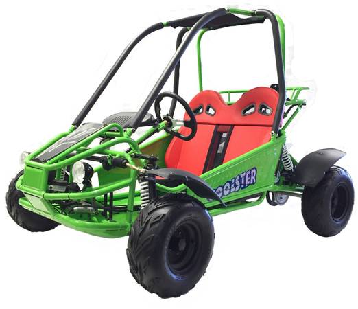 NEW 2 PERSON 125cc GO KARTS FOR SALE @ COST - $1295 (Wagoner) | Cars ...