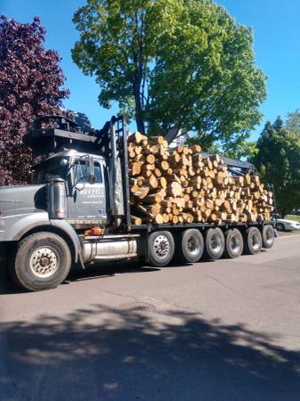 Log truck loads of firewood $1,100 | Garden Items For Sale | Upper ...