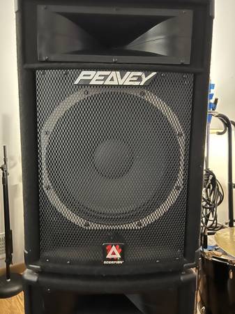 Peavey Scorpion SP 5X P.A. Speakers x 2 $250 | Musical Instruments ...